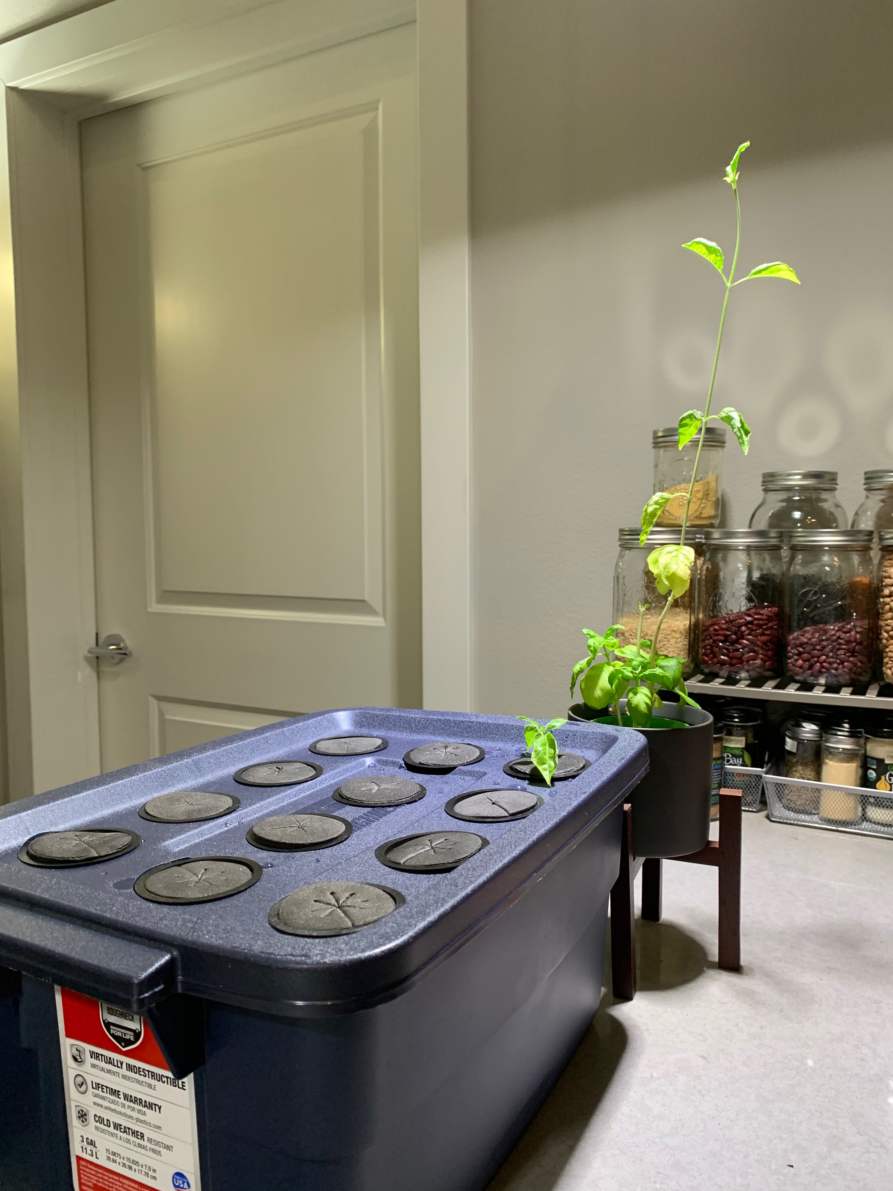 Mini Cloner | jordan at rest